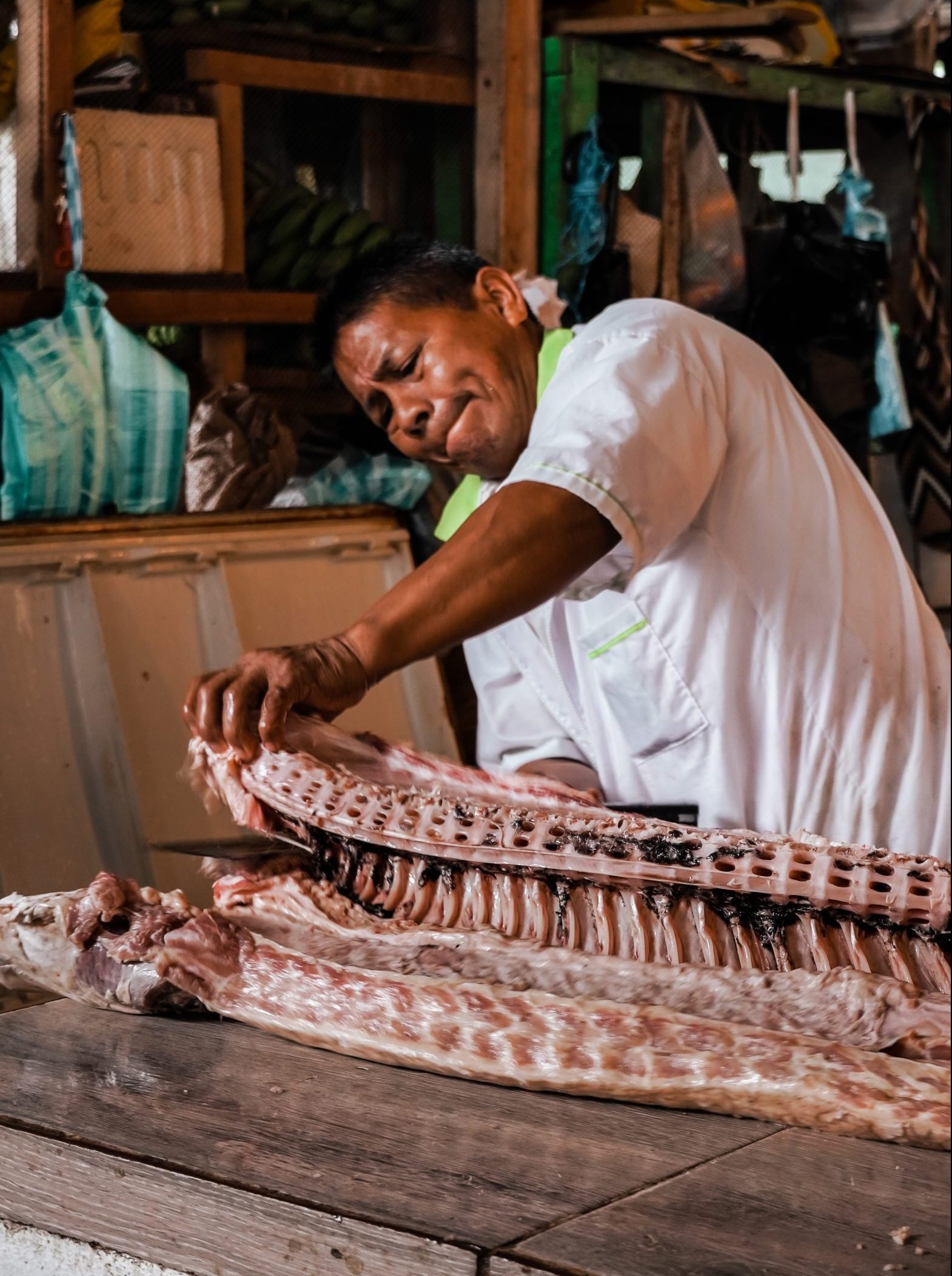 Qué hacer en Leticia ᐈ Guía para visitar el Amazonas Colombiano