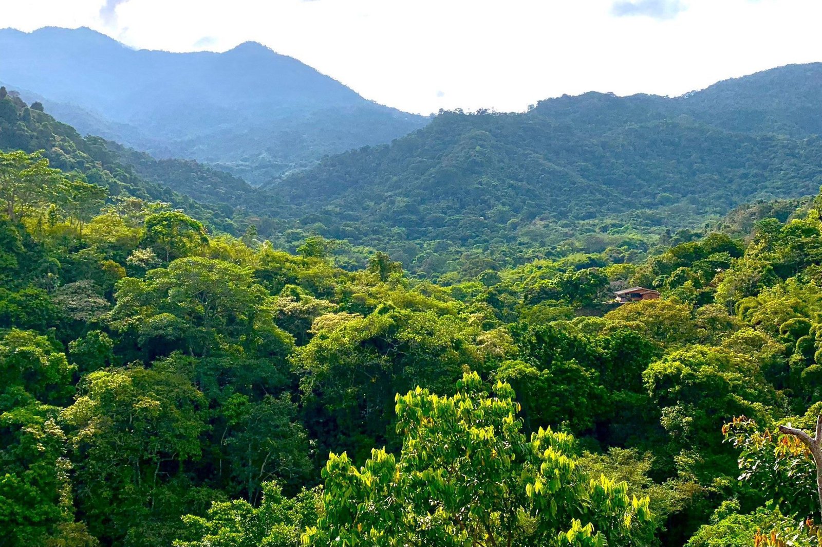 Qué hacer en Leticia ᐈ Guía para visitar el Amazonas Colombiano