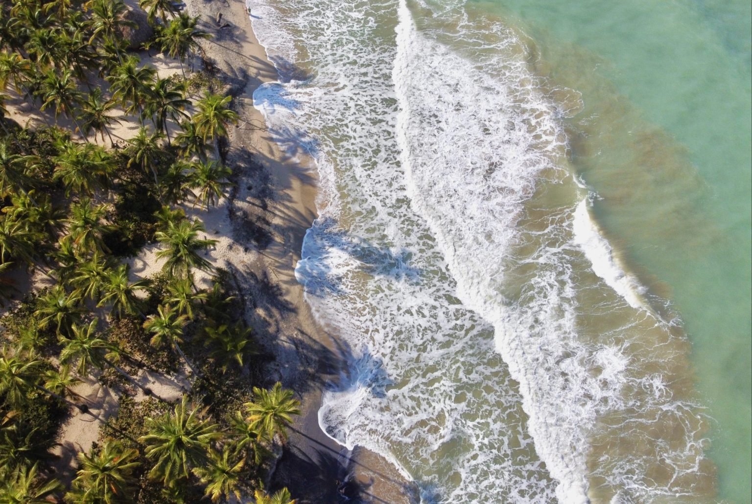 Qué hacer en Palomino, un remanso de paz del Caribe colombiano